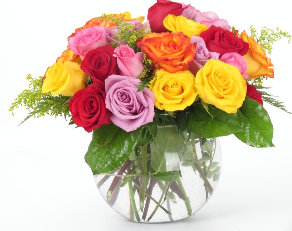 What The Different Colors of Roses Mean - Billy Heromans