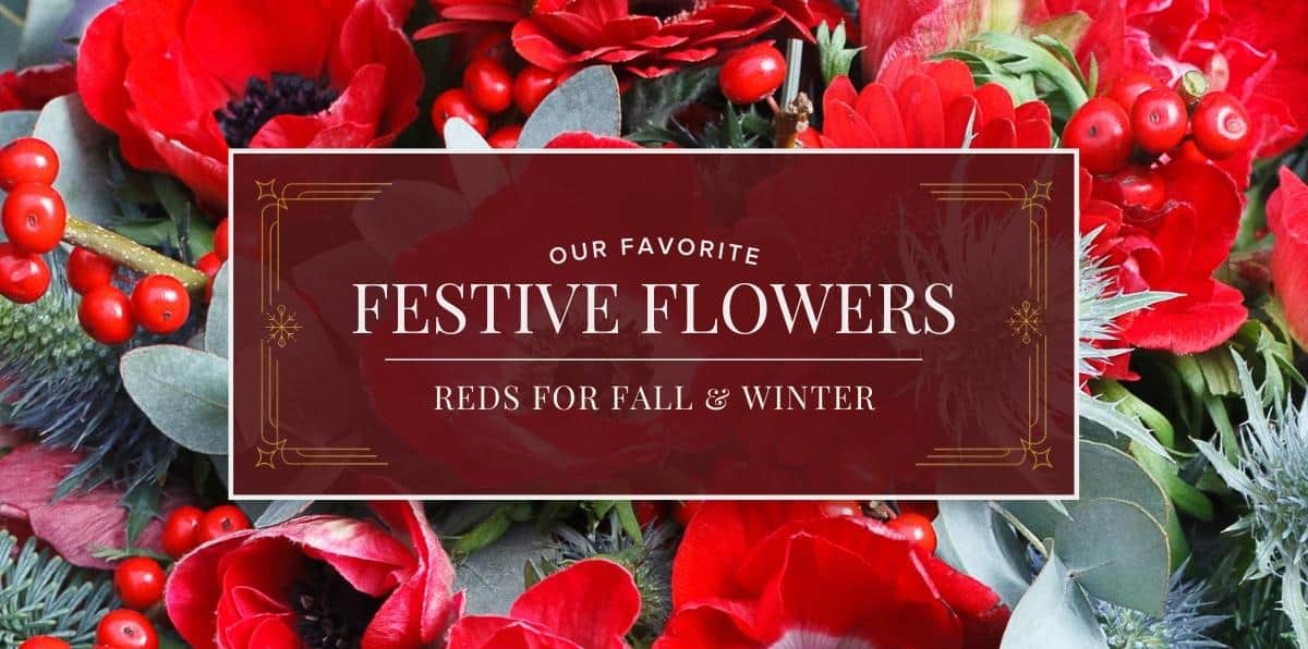 Our Favorite Red Blooms for Celebrating Autumn and Winter | Flower ...